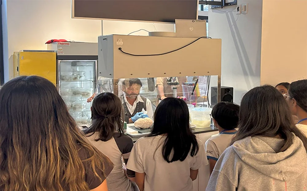 Brain Explorers — THE BRAIN OBSERVATORY®