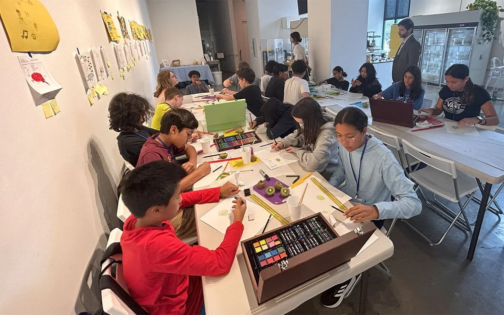 Brain Explorers — THE BRAIN OBSERVATORY®