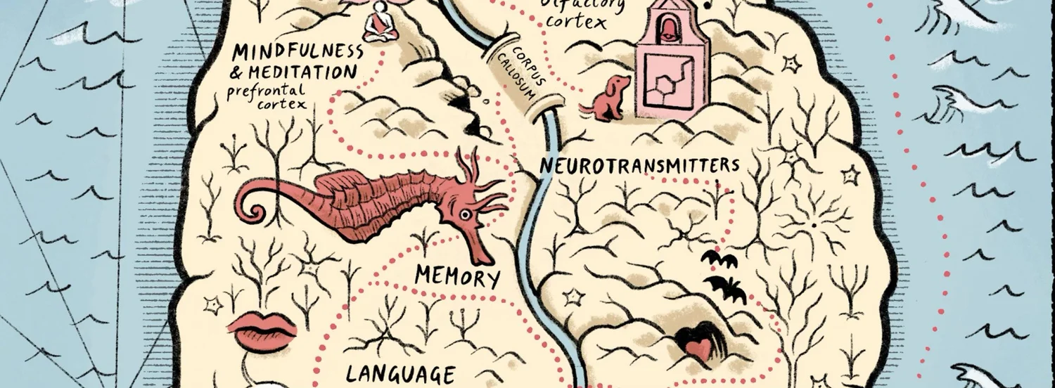 Brain Explorers — THE BRAIN OBSERVATORY®