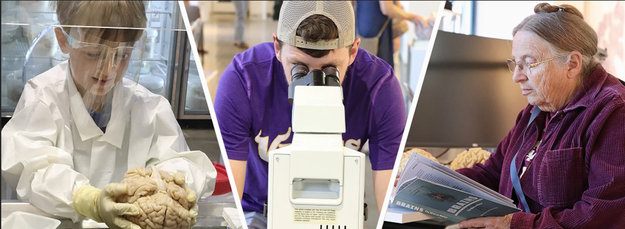 THE BRAIN OBSERVATORY®