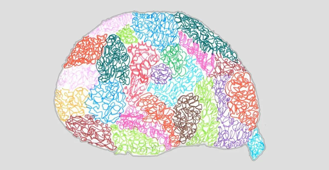 THE BRAIN OBSERVATORY®