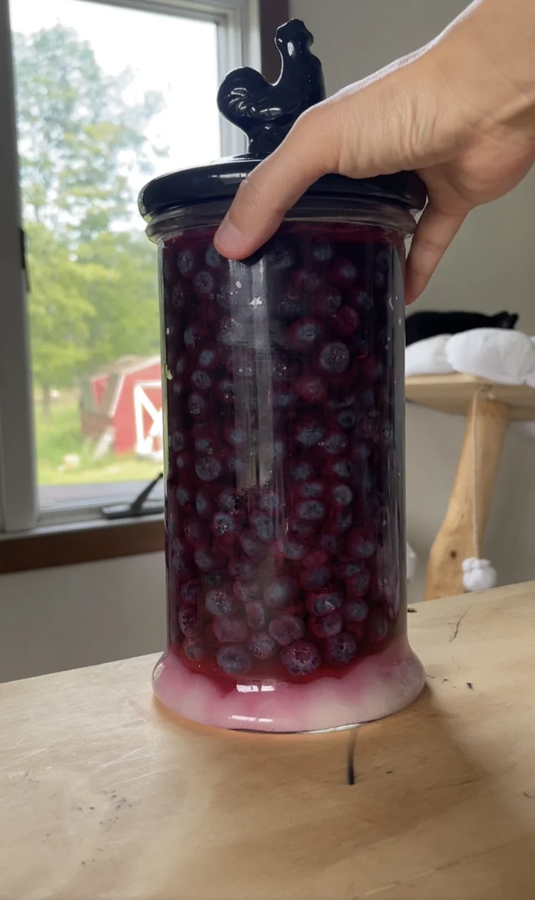 How To Make Blueberry Cheong (Healing Benefits) — Sua