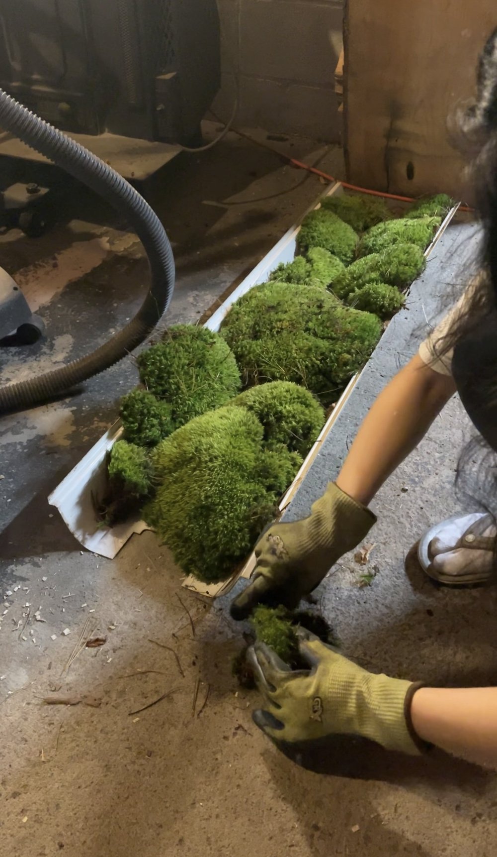 Moss Art — Build Your Own Moss Table (5 Steps) — Sua