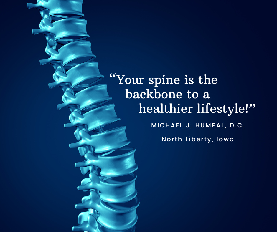 Healthy Spine Quotes Low Back Collegeville, PA & Exton, PA: