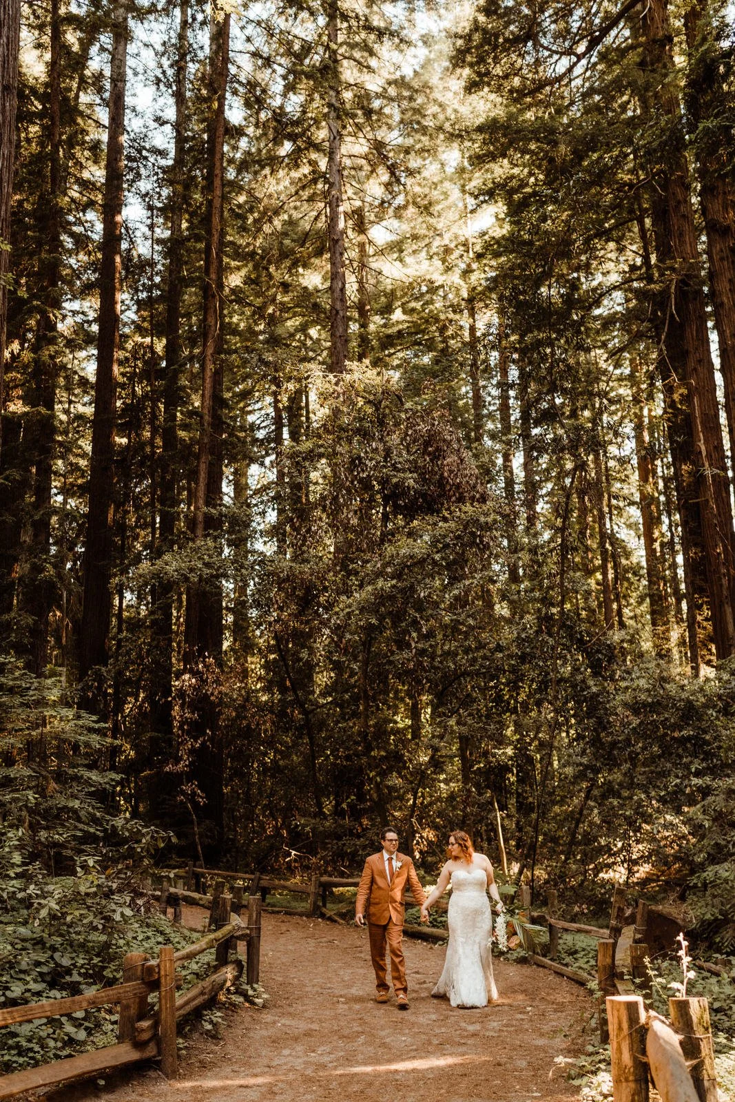 5 Things to Know About Eloping in Redwood National + State Parks ...