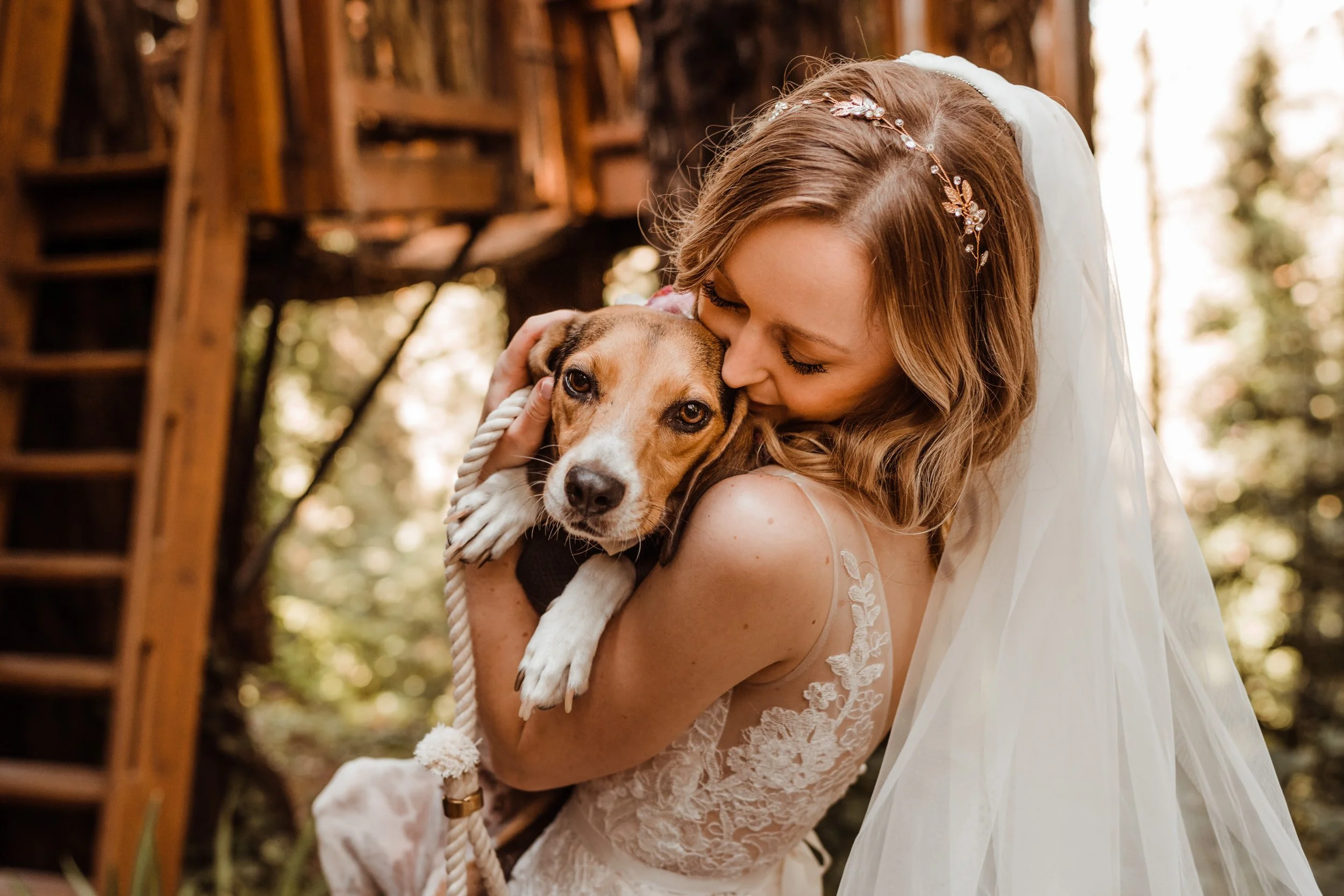 Wedding in the Woods - Dog-Friendly California Redwoods Elopement ...