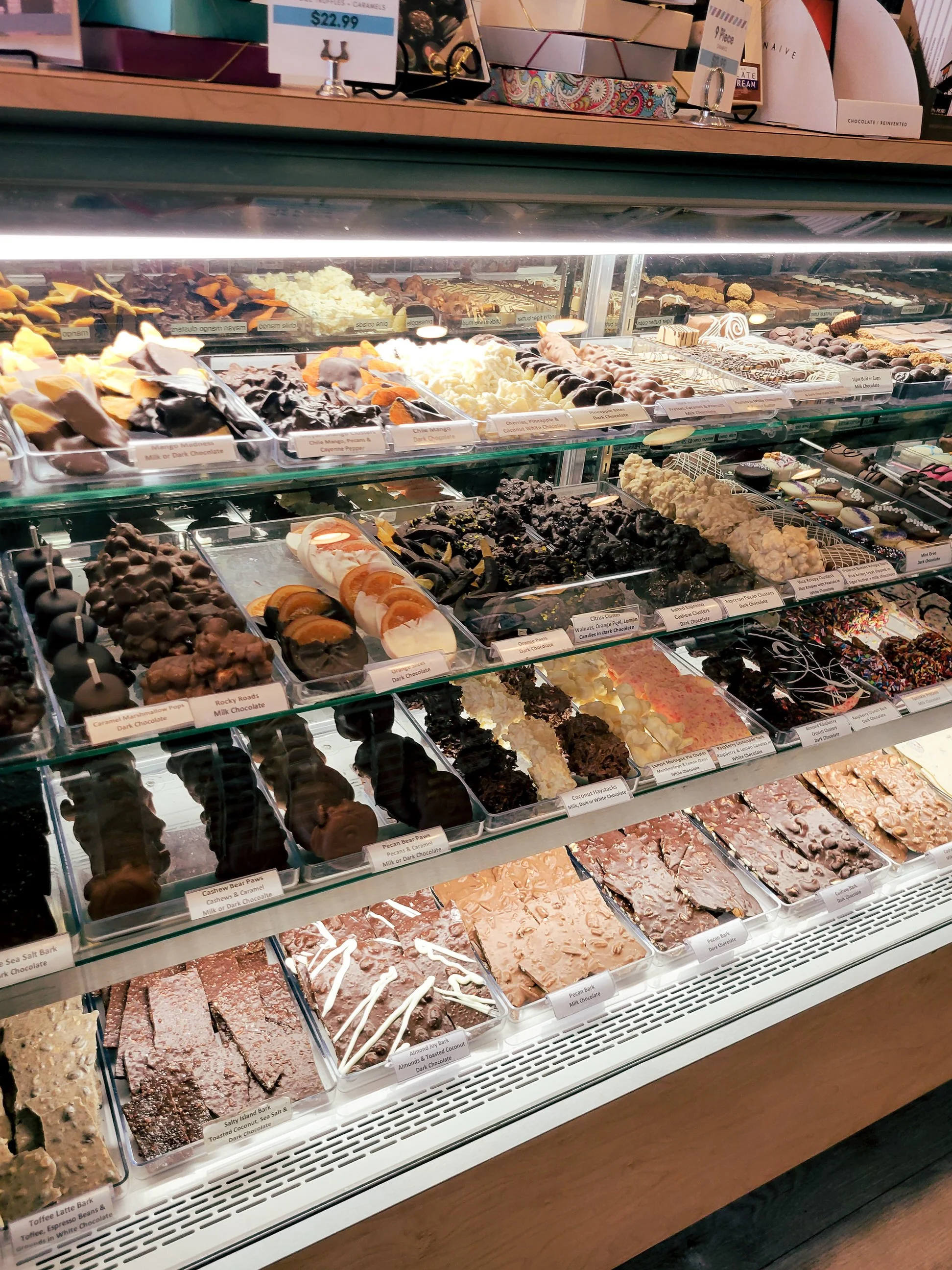 Colorado Springs Adventure with huskies - Colorado Elopement + Wedding ...