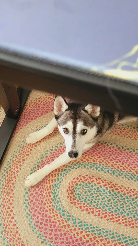 5 Unique Touches For Your Destination Wedding | Guest Post by Creative ...