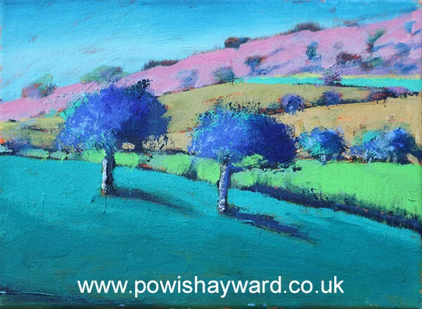 PAUL POWIS — POWIS | HAYWARD