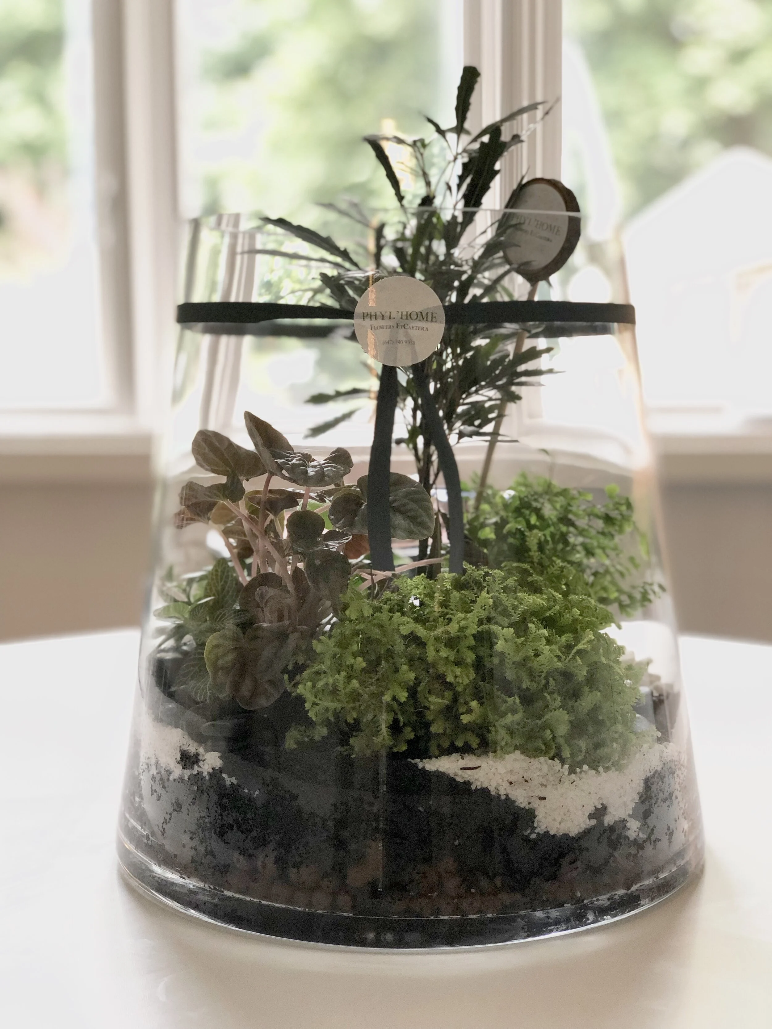 Shop Online — Phyl'home