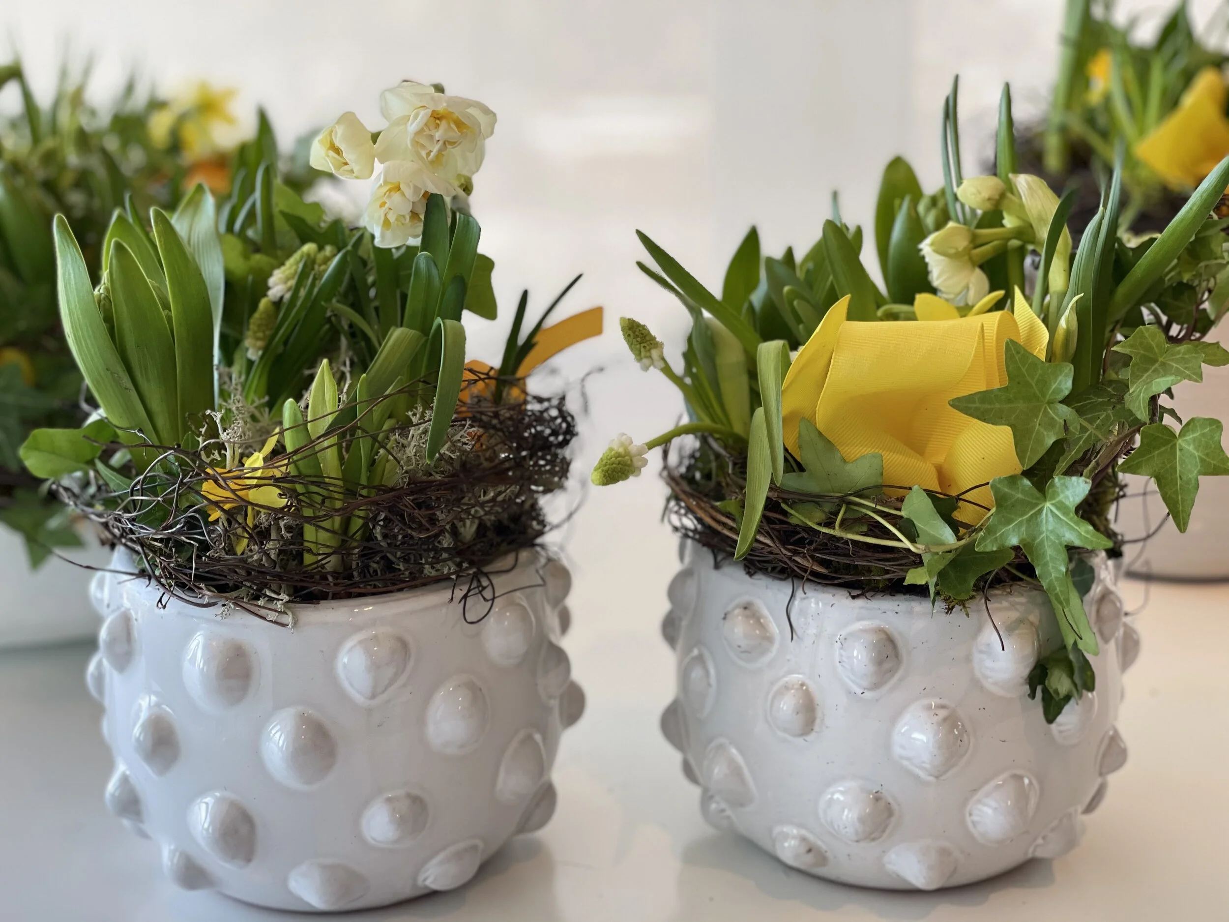 Shop Online — Phyl'home