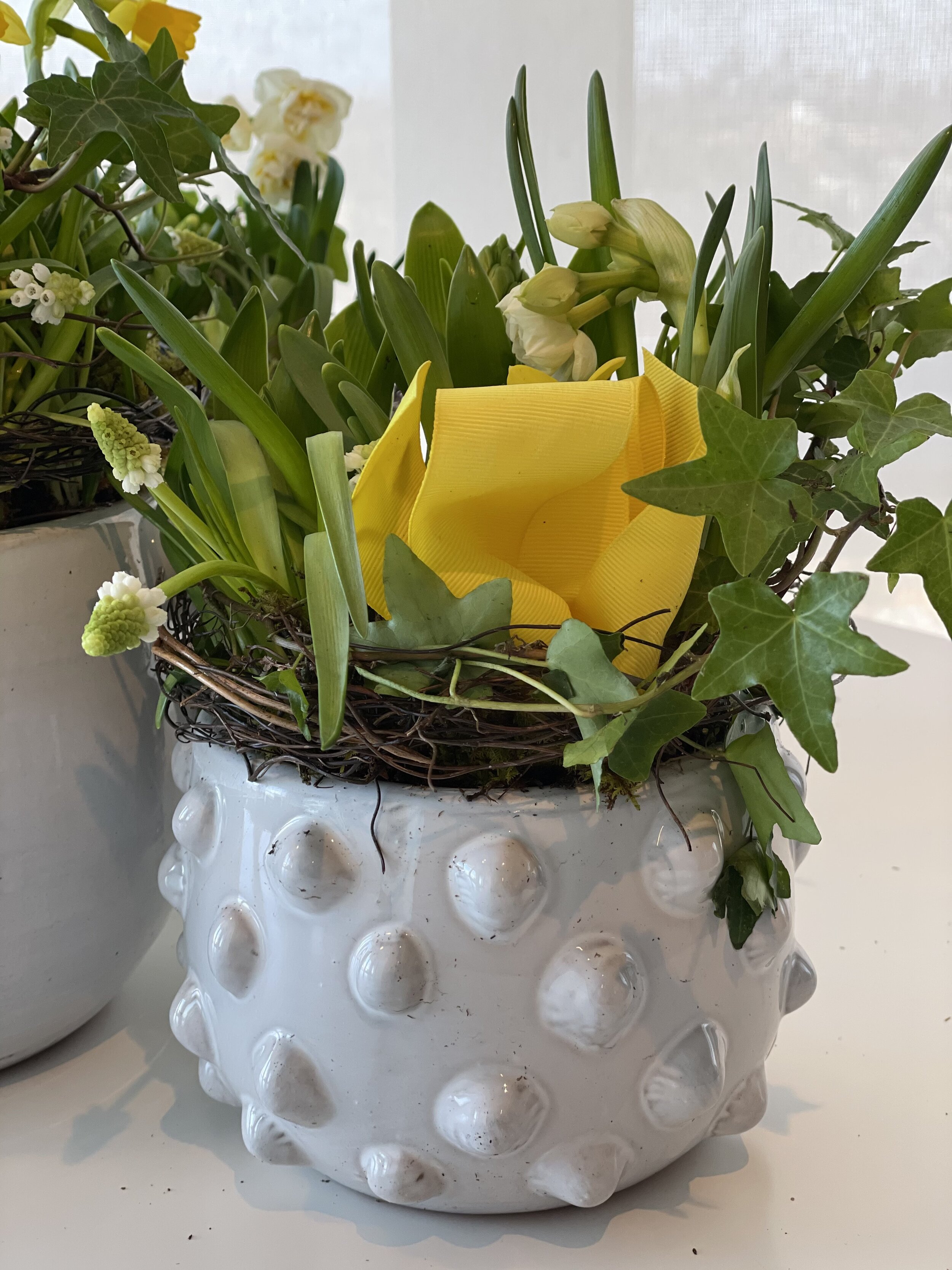 Shop Online — Phyl'home