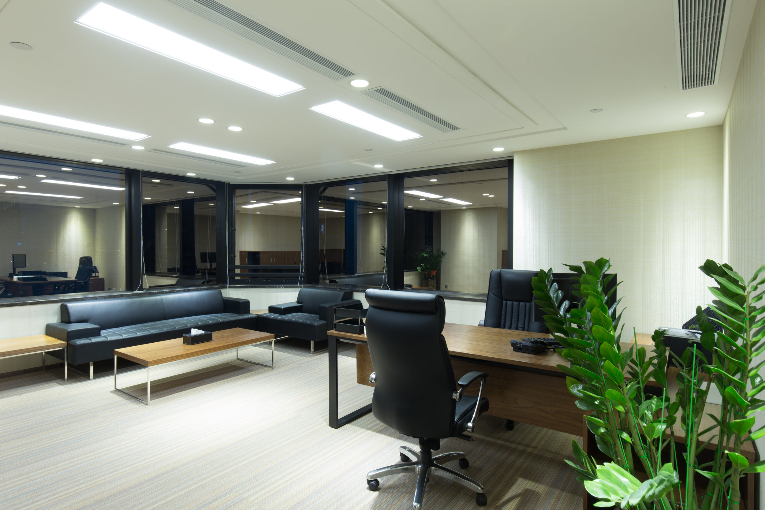 Office Design — The Vein