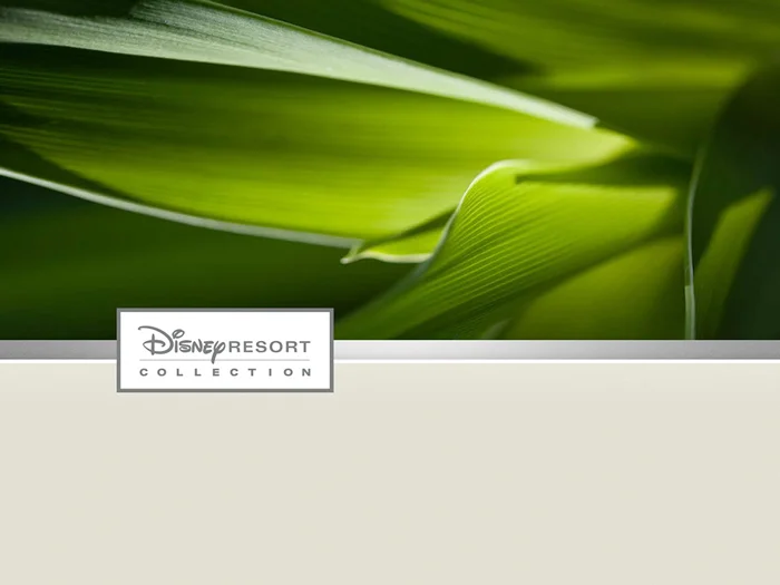 Disney: Resort Collection — Gnah Studios