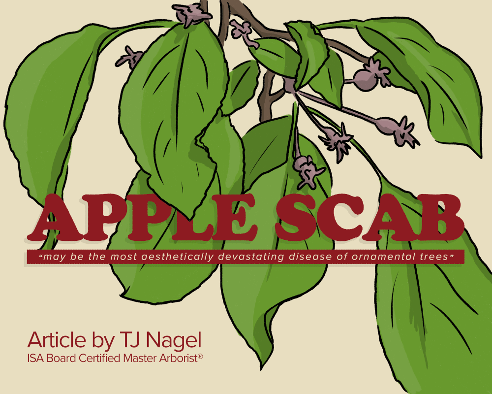 Russell Tree Experts — Fungicides in Full Effect!