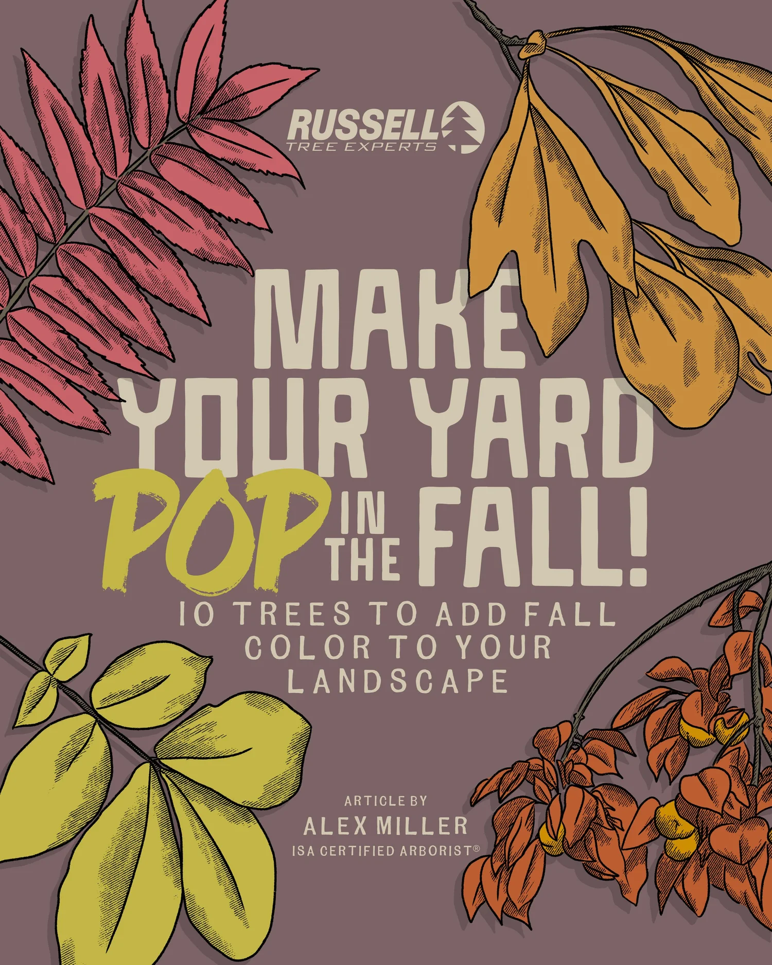 Russell Tree Experts — Make Your Yard POP in the Fall: 10 Trees to Add ...