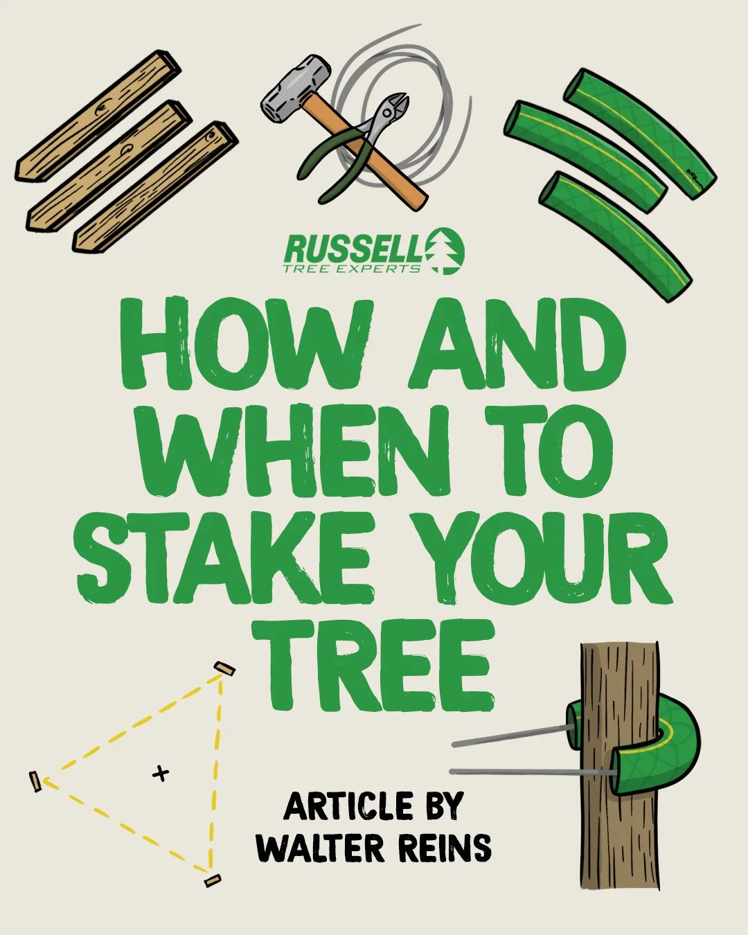 Russell Tree Experts — How and When to Stake a Tree