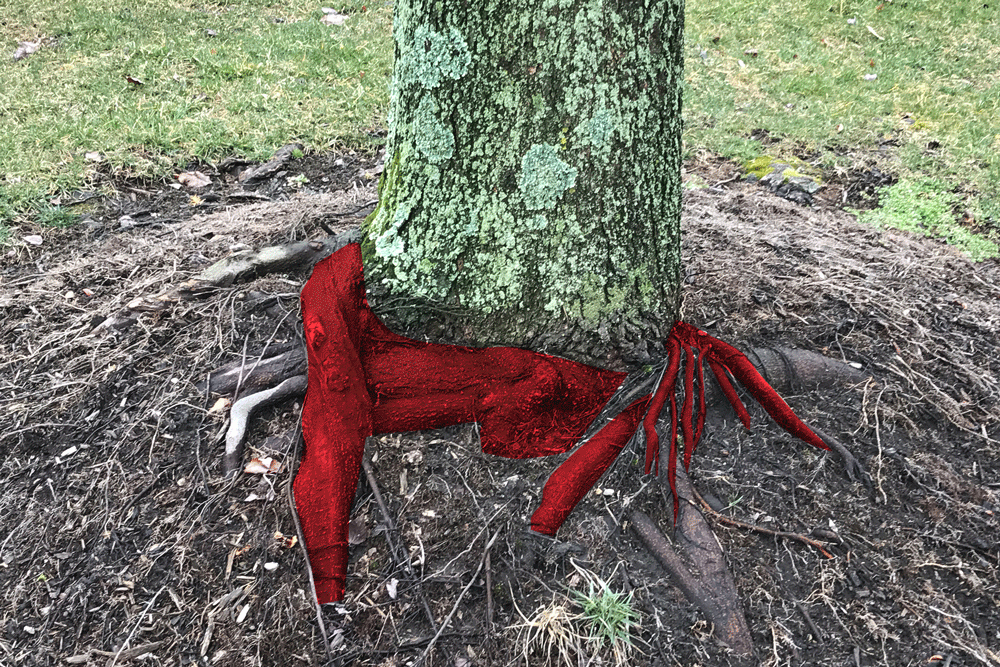 Russell Tree Experts — Are Your Trees Being Suffocated By Their Own Roots?