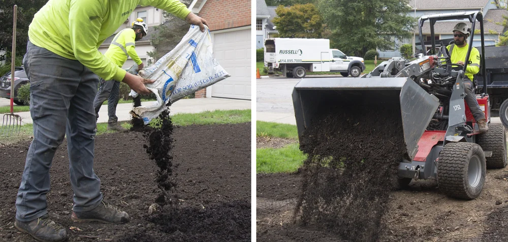 Russell Tree Experts — Stump Restoration Process