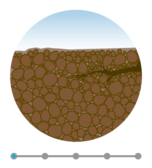 Russell Tree Experts — Soil Compaction = Not Good for Trees