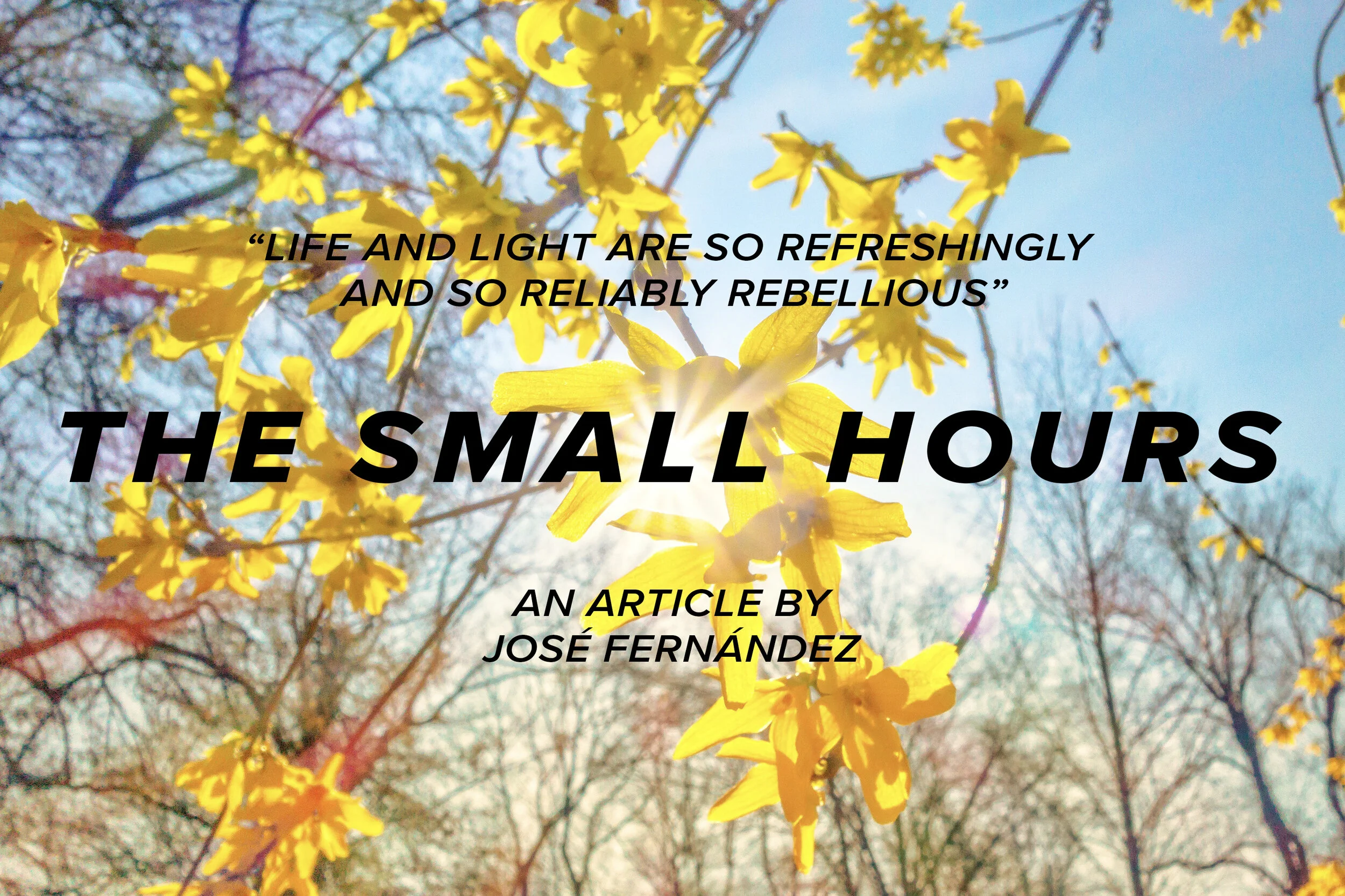 Russell Tree Experts — The Small Hours