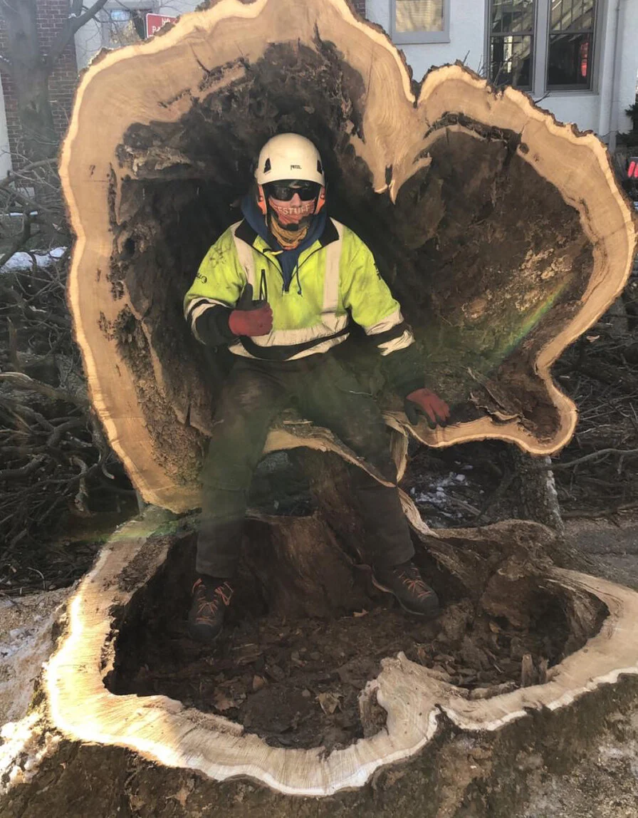 Russell Tree Experts — Tree Risk Assessments-changes