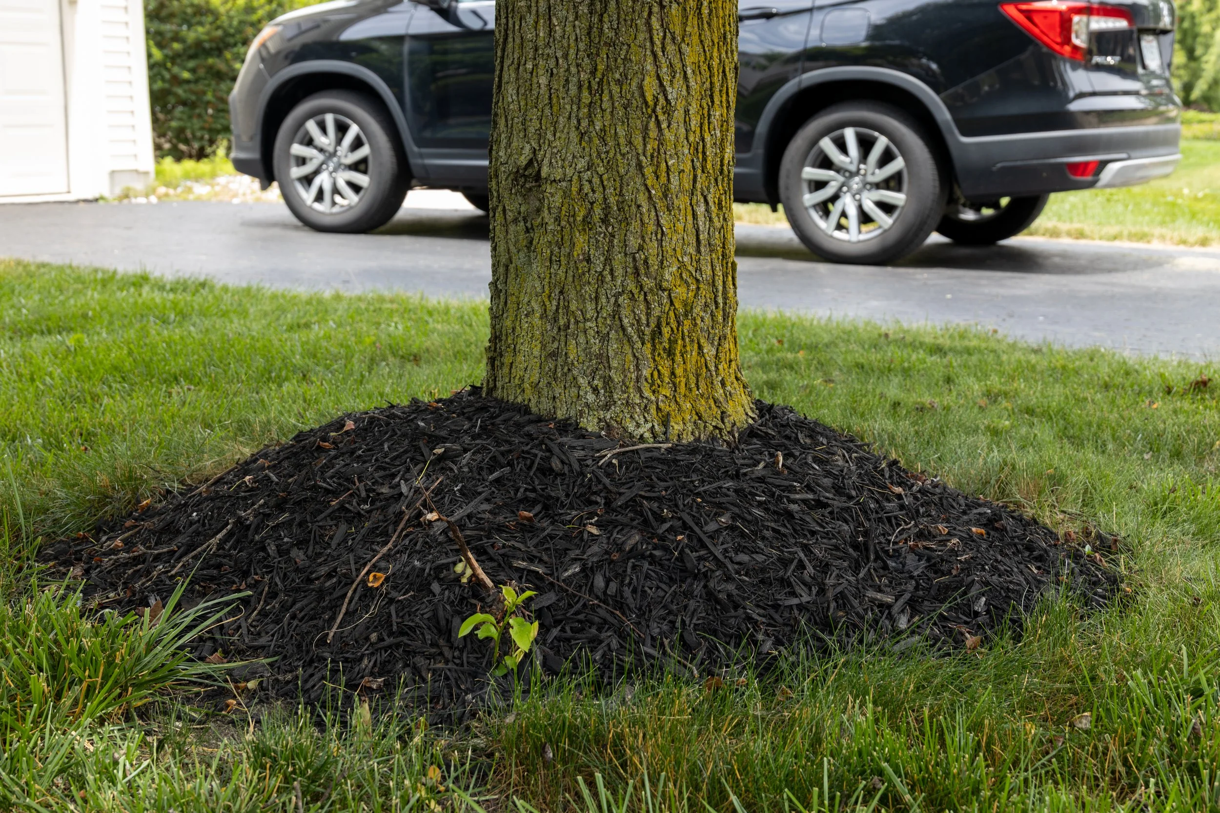 Russell Tree Experts — Mulch Volcanoes & The Hidden Dangers