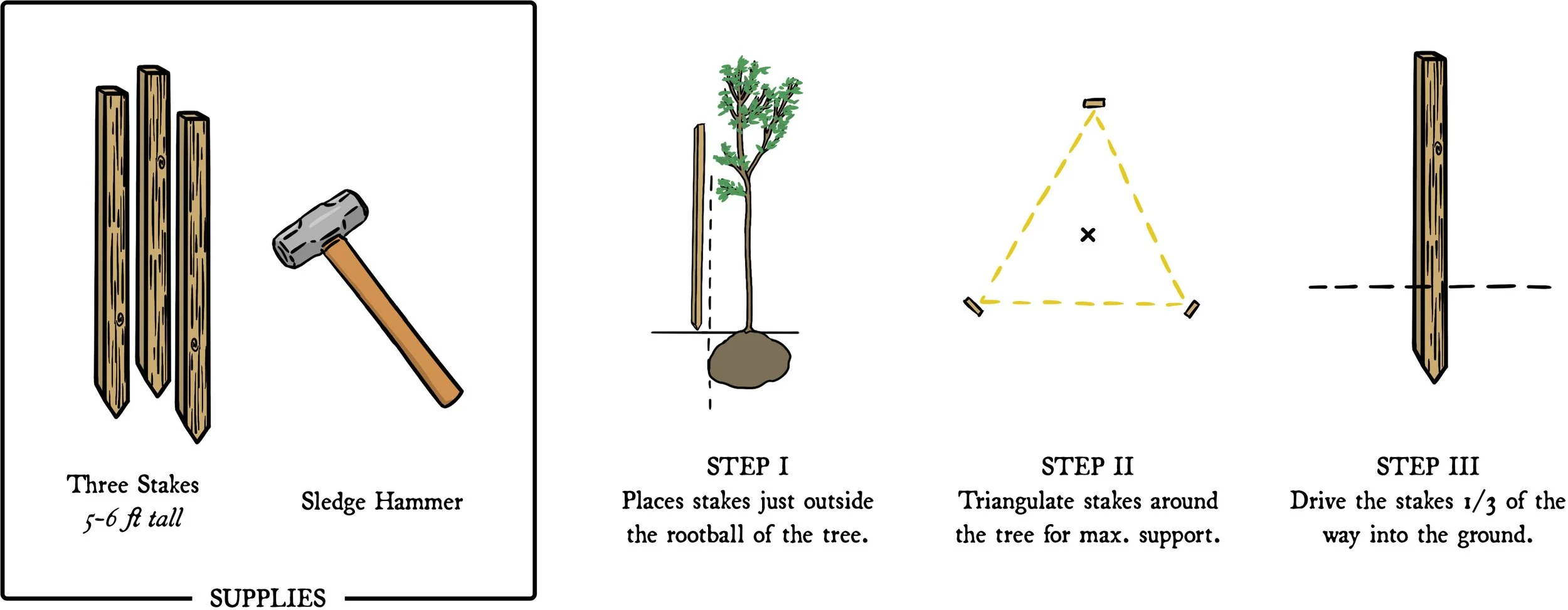 Russell Tree Experts — How and When to Stake a Tree