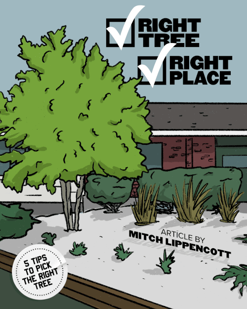 Russell Tree Experts — Right Tree, Right Place!