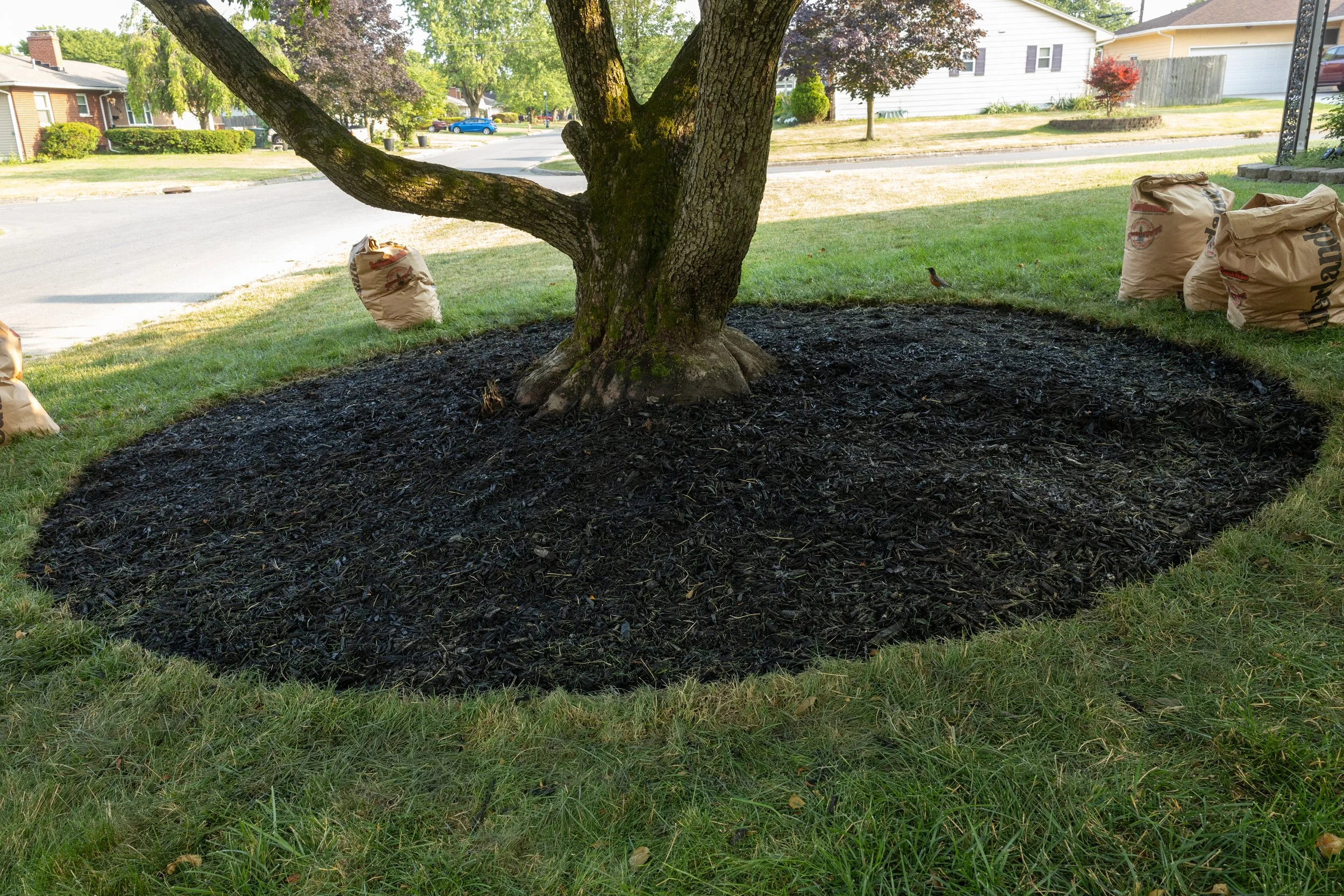 Russell Tree Experts — How to Mulch a Tree Ring with CRISP Edges!