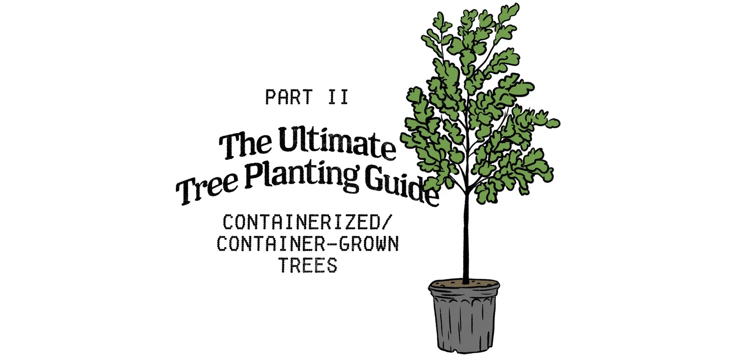 Russell Tree Experts — The ULTIMATE Tree Planting Guide!