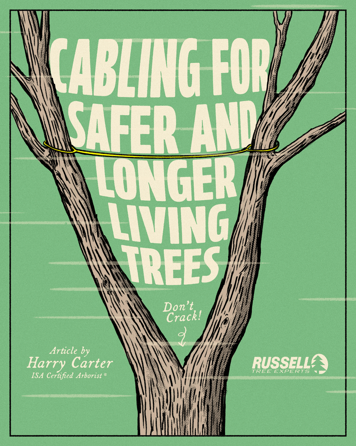 Russell Tree Experts — Cabling for Safer and Longer Living Trees