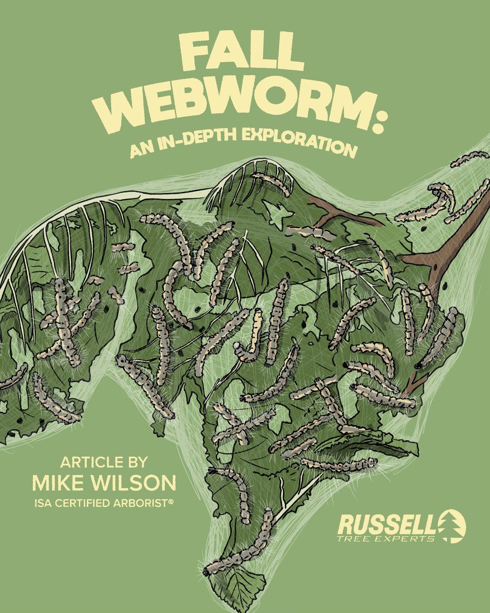 Russell Tree Experts — Fall Webworm: An In-Depth Exploration