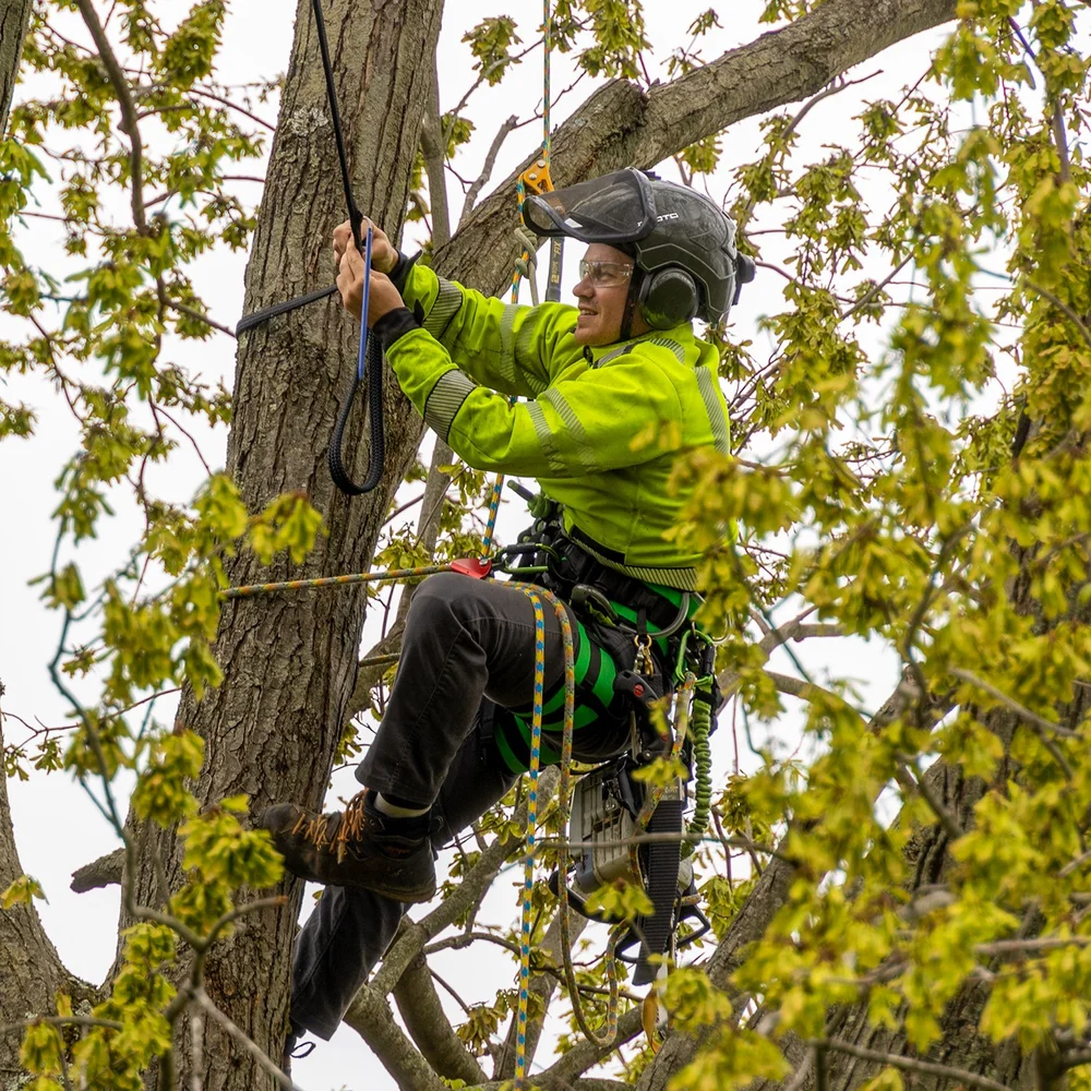 Russell Tree Experts — Overview