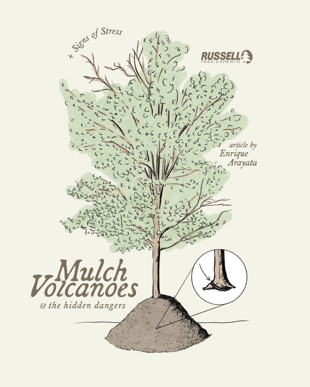 Russell Tree Experts — Mulch Volcanoes & The Hidden Dangers