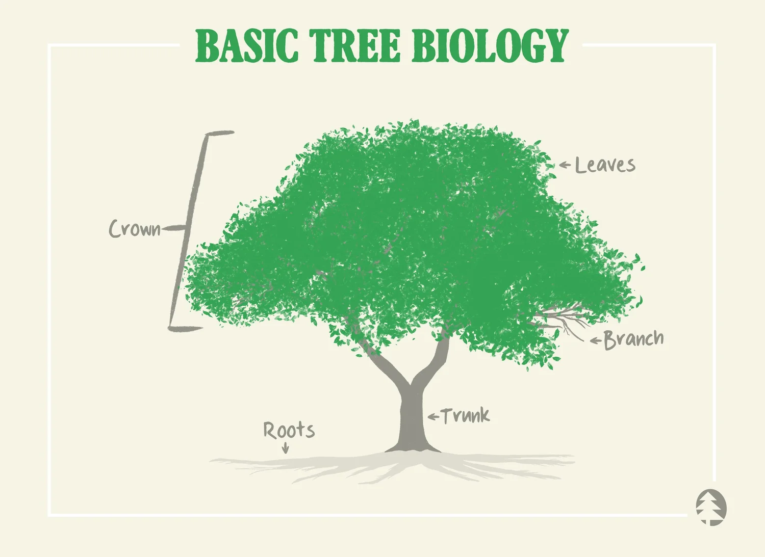 Russell Tree Experts — Anatomical Upgrades for Your Trees!