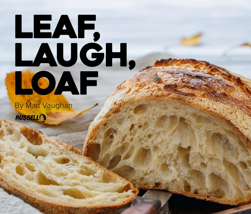 Russell Tree Experts — Leaf, Laugh, Loaf