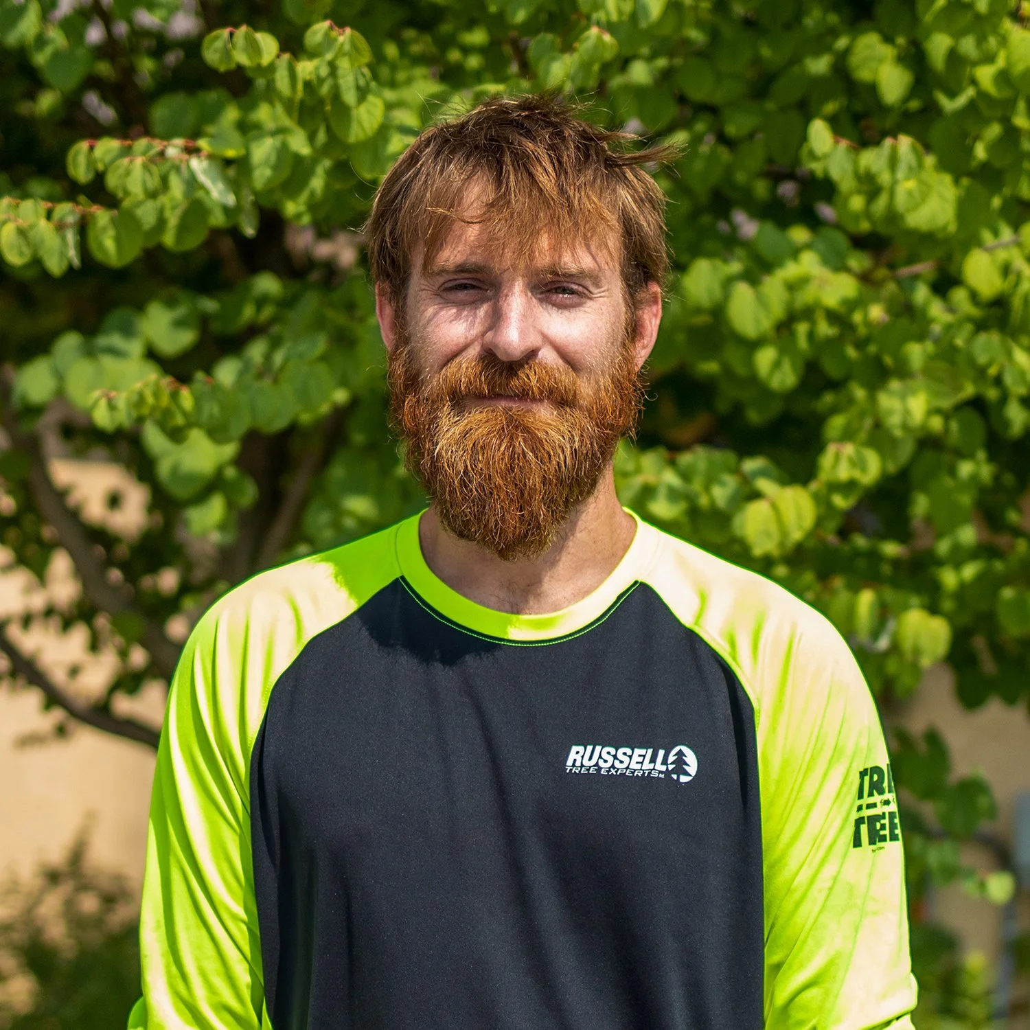 Russell Tree Experts — The 3 Cut Method
