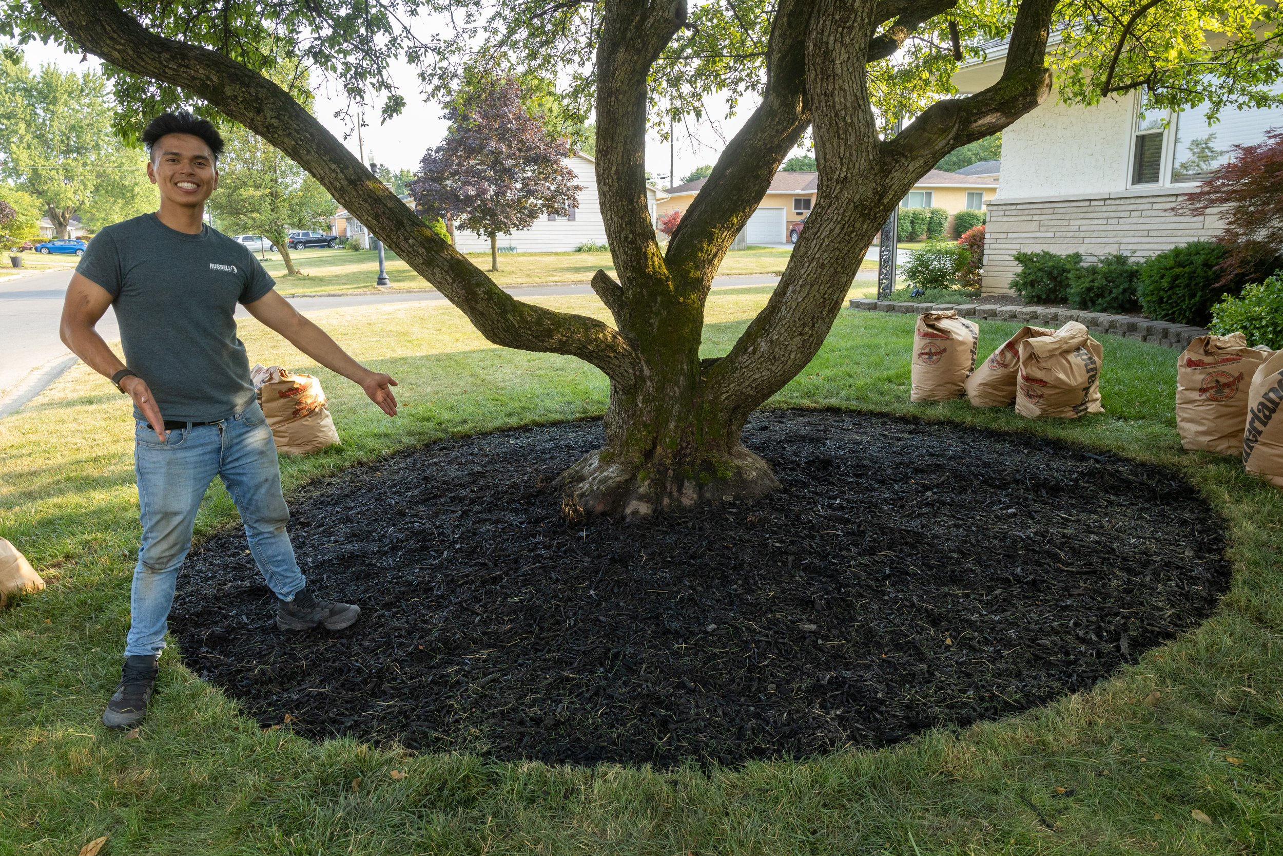 Russell Tree Experts — How to Mulch a Tree Ring with CRISP Edges!