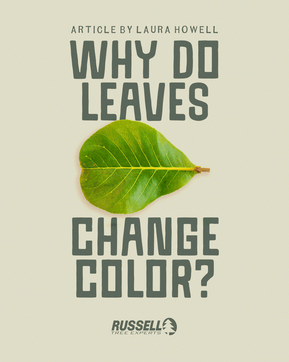 Russell Tree Experts — Why Do Leaves Change Color?