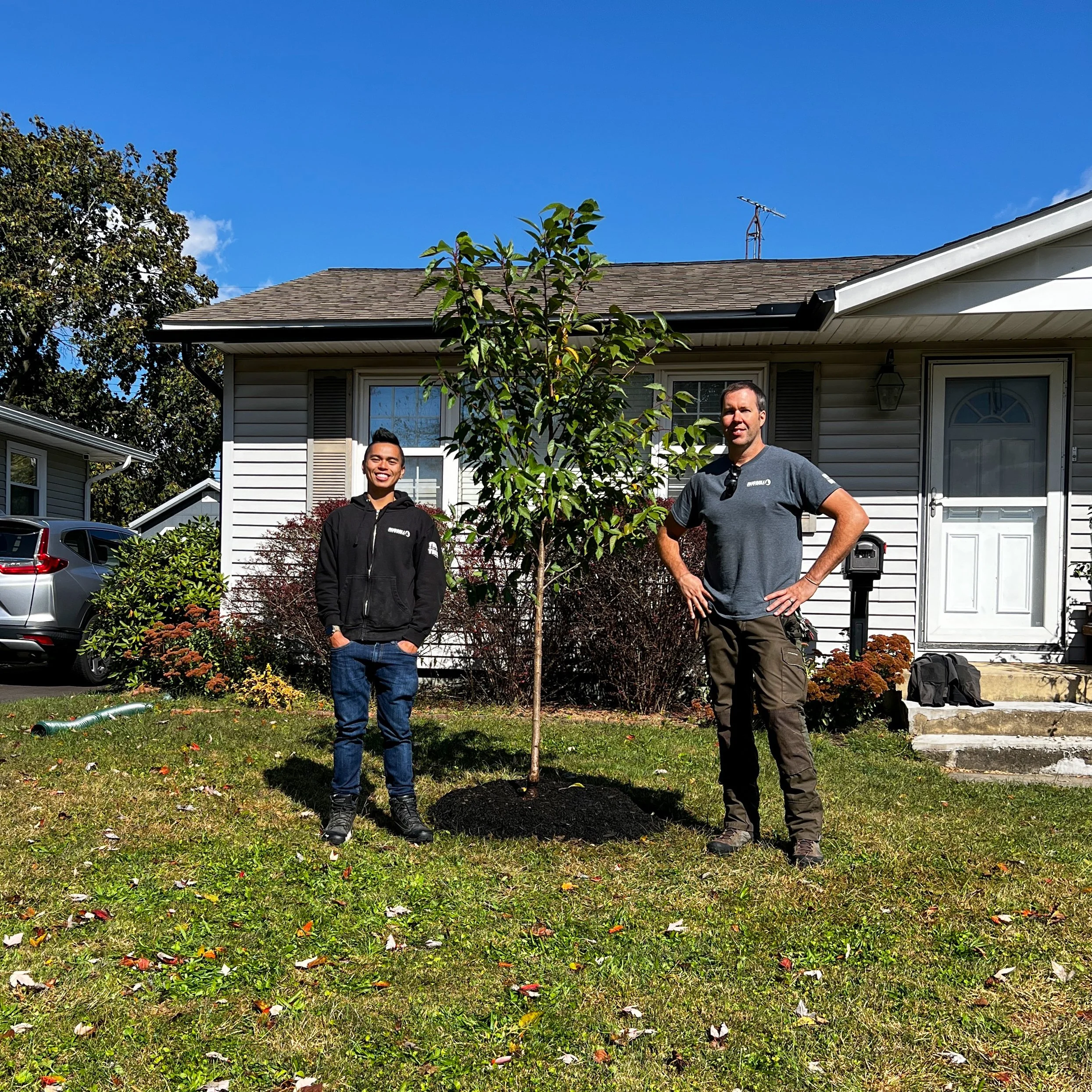 Russell Tree Experts — How to Plant a Tree