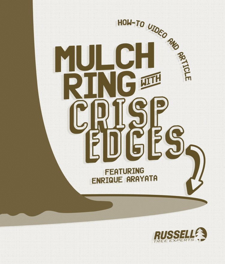 Russell Tree Experts — How to Mulch a Tree Ring with CRISP Edges!