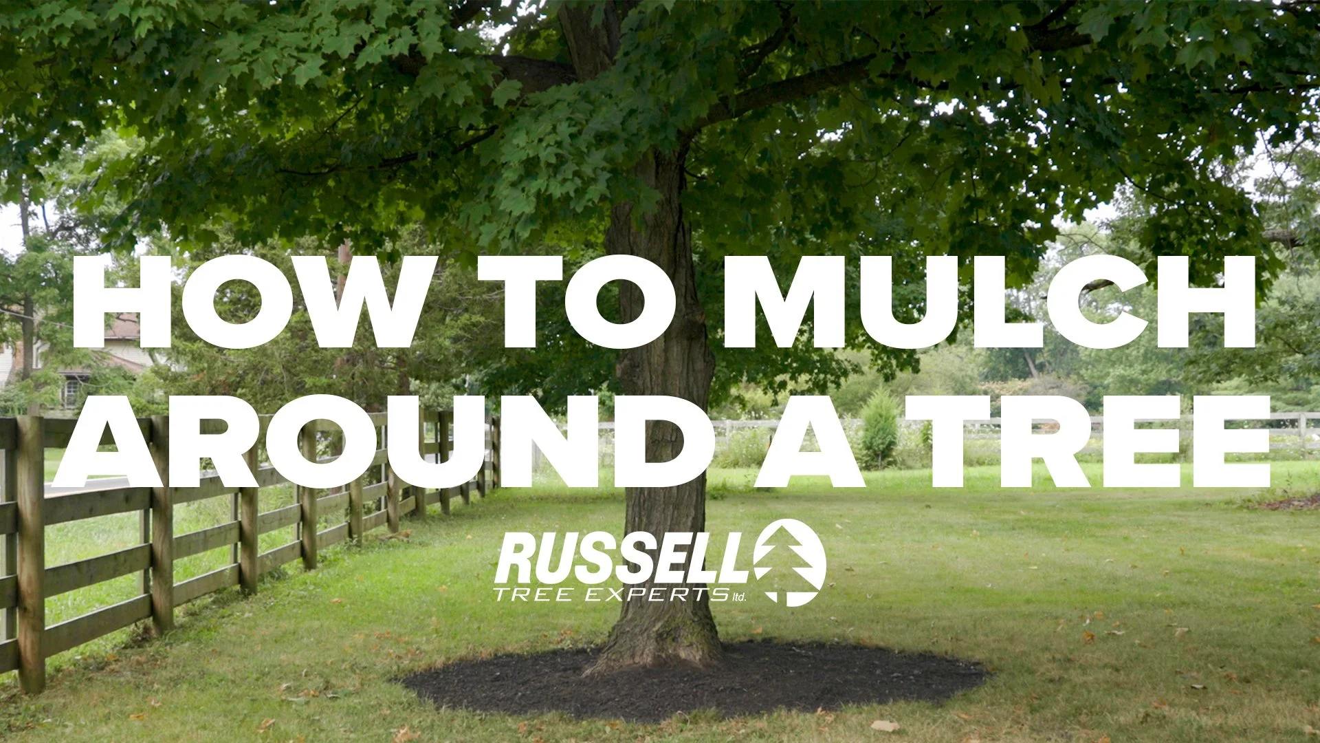 Russell Tree Experts — How to Plant a Balled-and-Burlapped Tree!