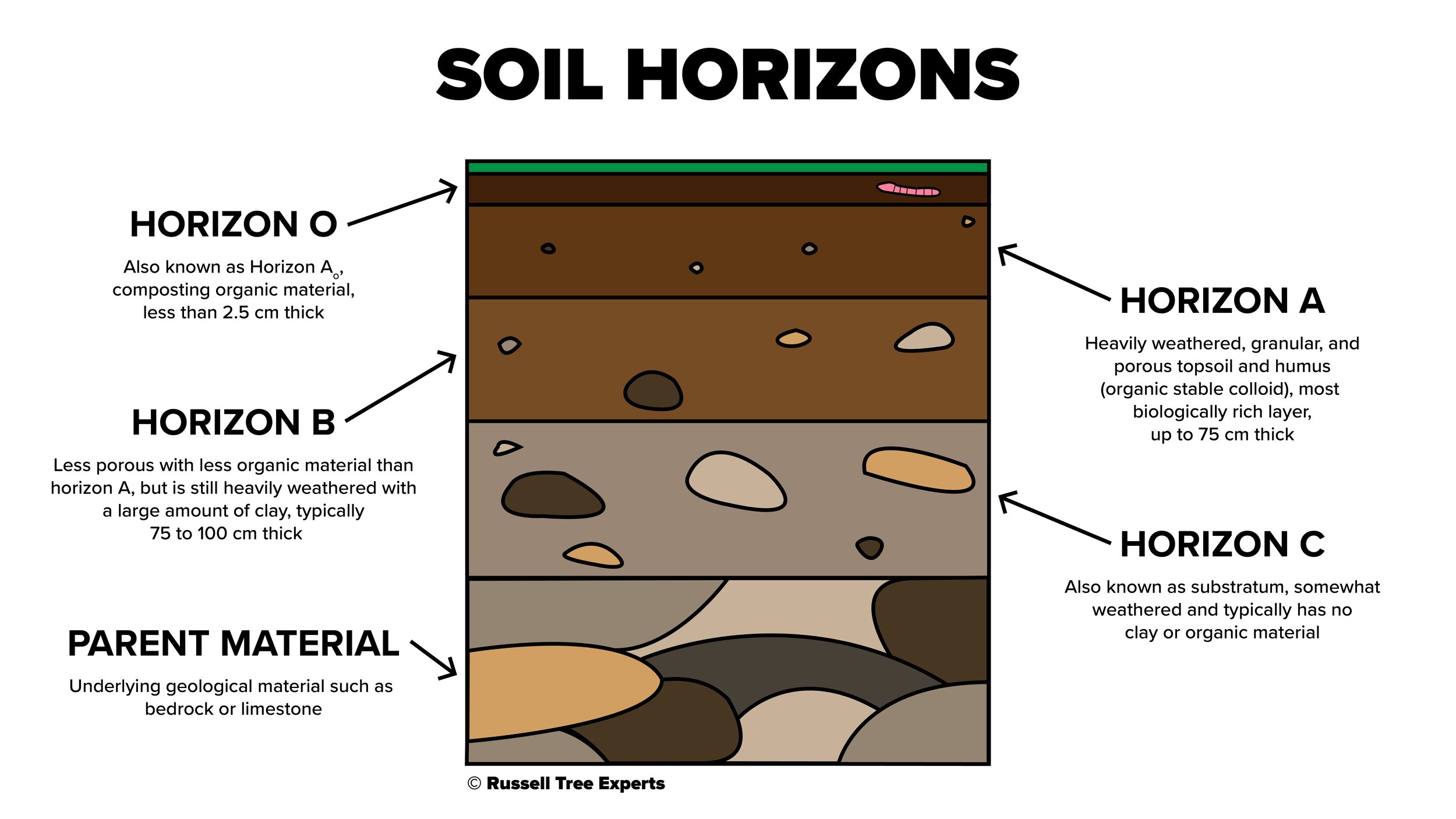 Russell Tree Experts — The Root of Many Plant Problems in Central Ohio ...
