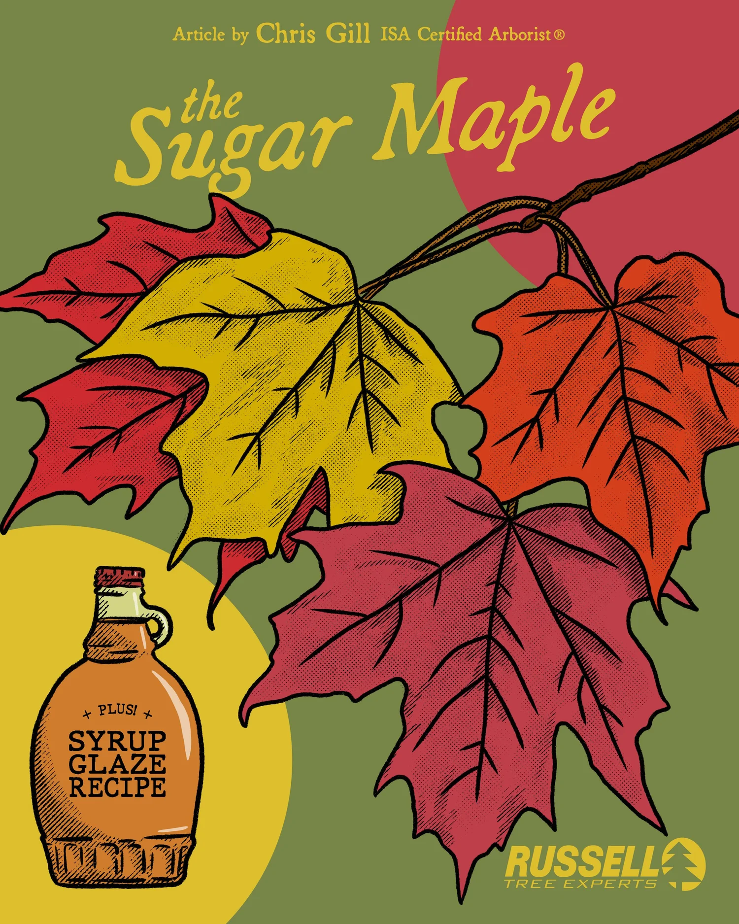 Russell Tree Experts — The Sugar Maple