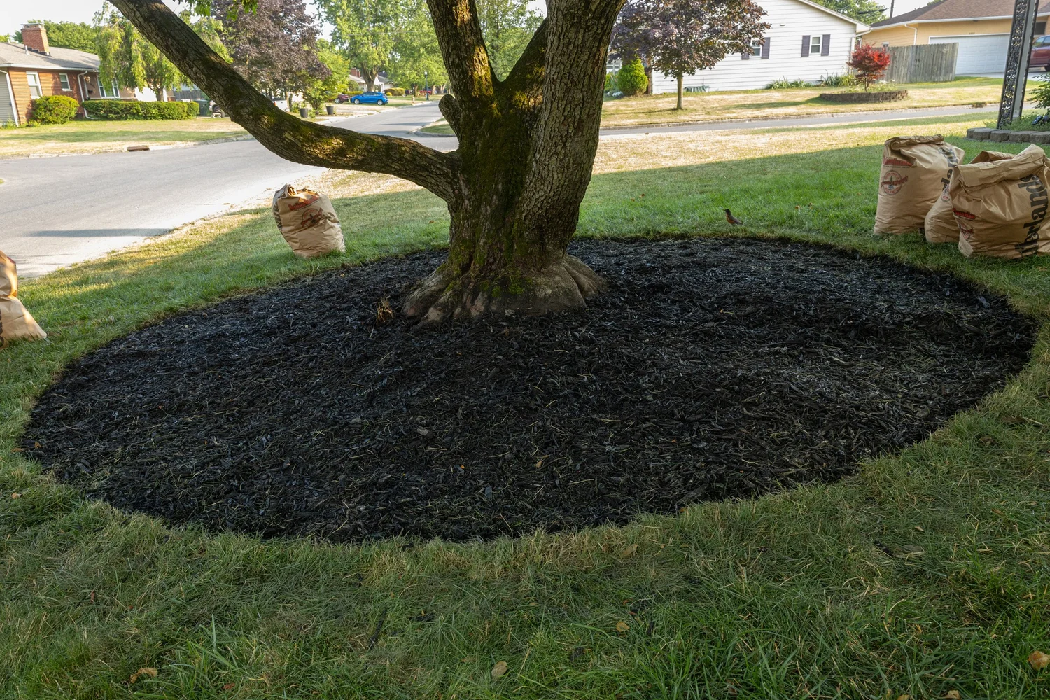Russell Tree Experts — Mulch Volcanoes & The Hidden Dangers