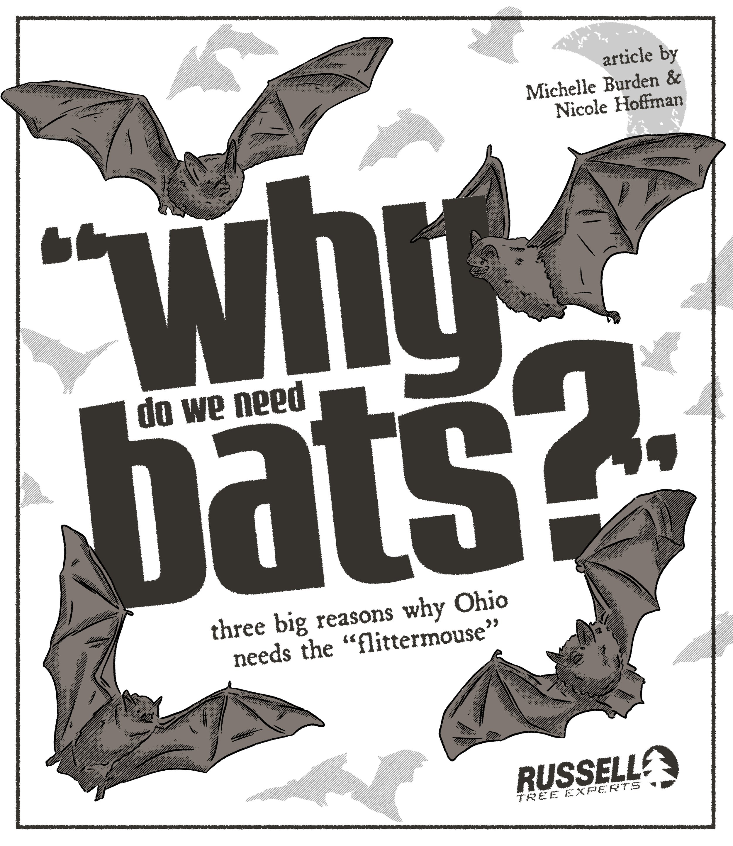 Russell Tree Experts — Why Do We Need Bats?