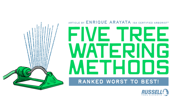 Russell Tree Experts — 5 Tree Watering Methods Ranked Worst to Best!