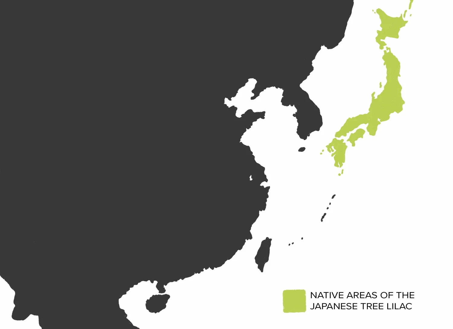 Russell Tree Experts — Asian Trees for the Ohio Landscape [Part 2]