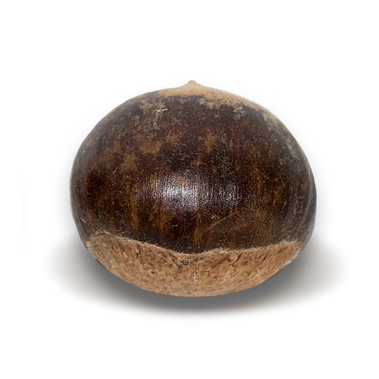 Our Chestnut Products — Cedar Hill Farms
